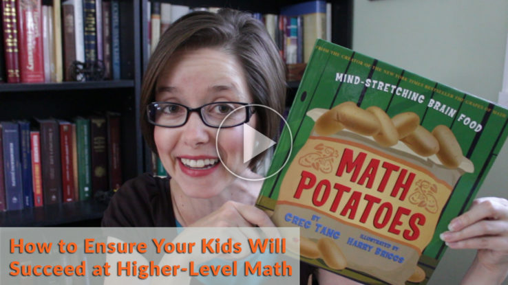 Greg Tang Books Review - Best Math Books Resource for Homeschool