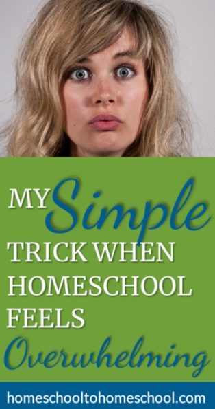 My simple trick when homeschool feels overwhelming … - Homeschool to ...